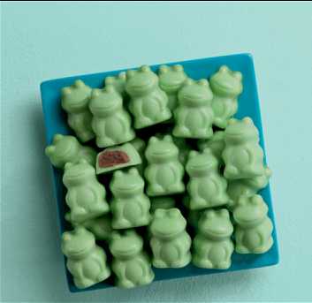 Frog Fudgies – Text4Funds